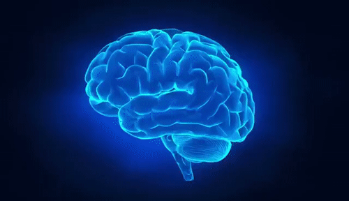 3355590 – Instituto Lucas Naves